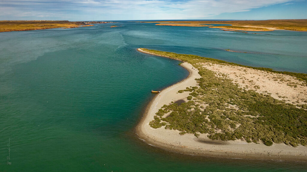 Reserva Natural Ría Deseado | Darwin Expeditions